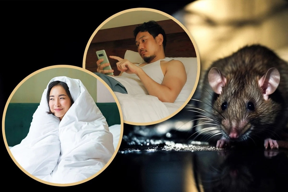 'Sống như con chuột trong cống', lựa chọn của nhiều người trẻ Trung Quốc