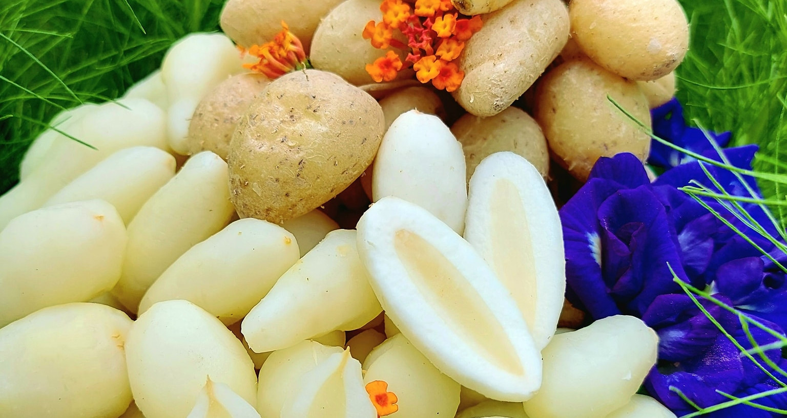 Đặc sản 'dưới lòng đất' ở Long An tên xấu nhưng ăn giòn, ngon