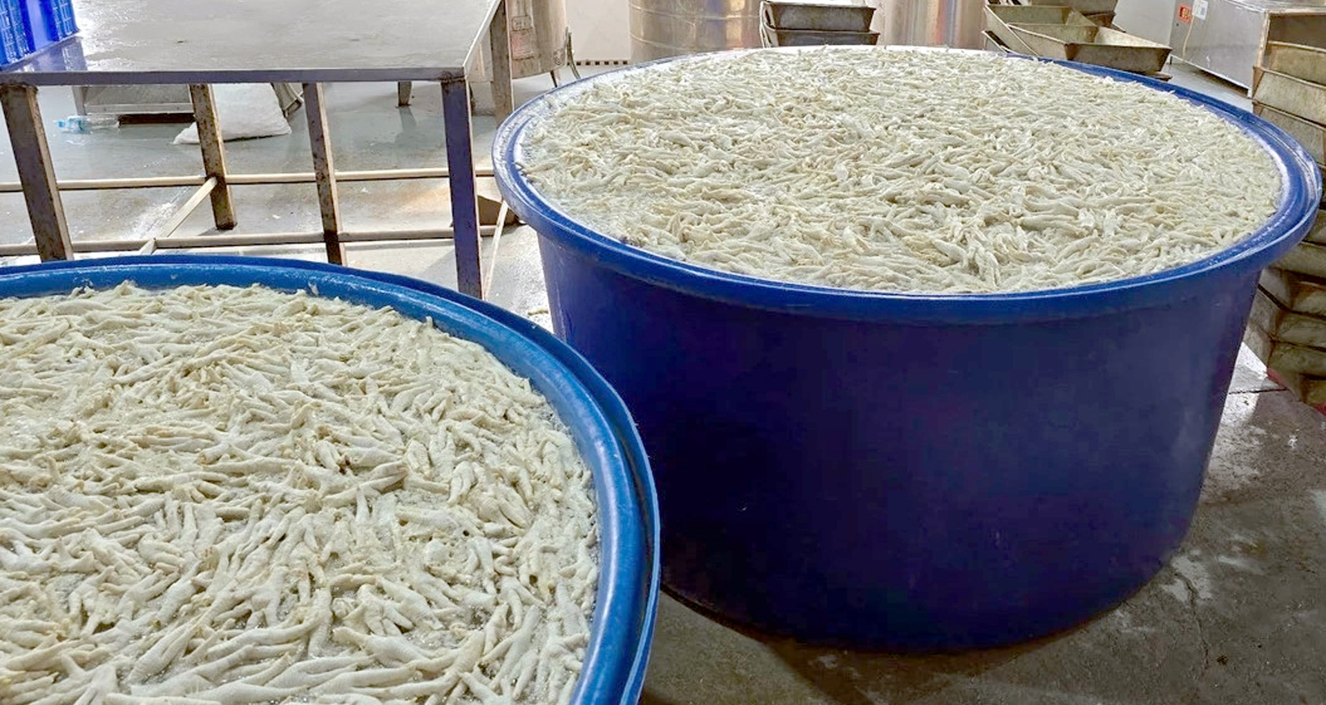 Cảnh sát kiểm tra kho chân gà 13 tấn, phát hiện sự thật khó chấp nhận